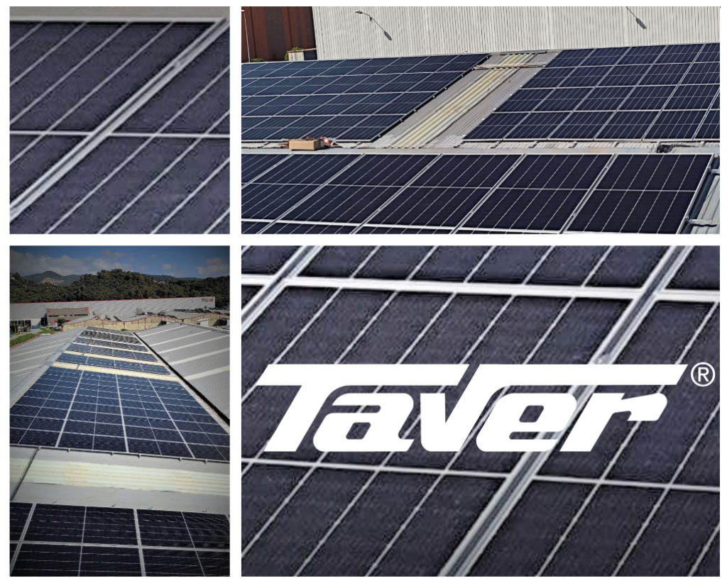 WORLD ENVIRONMENT DAY - Taver